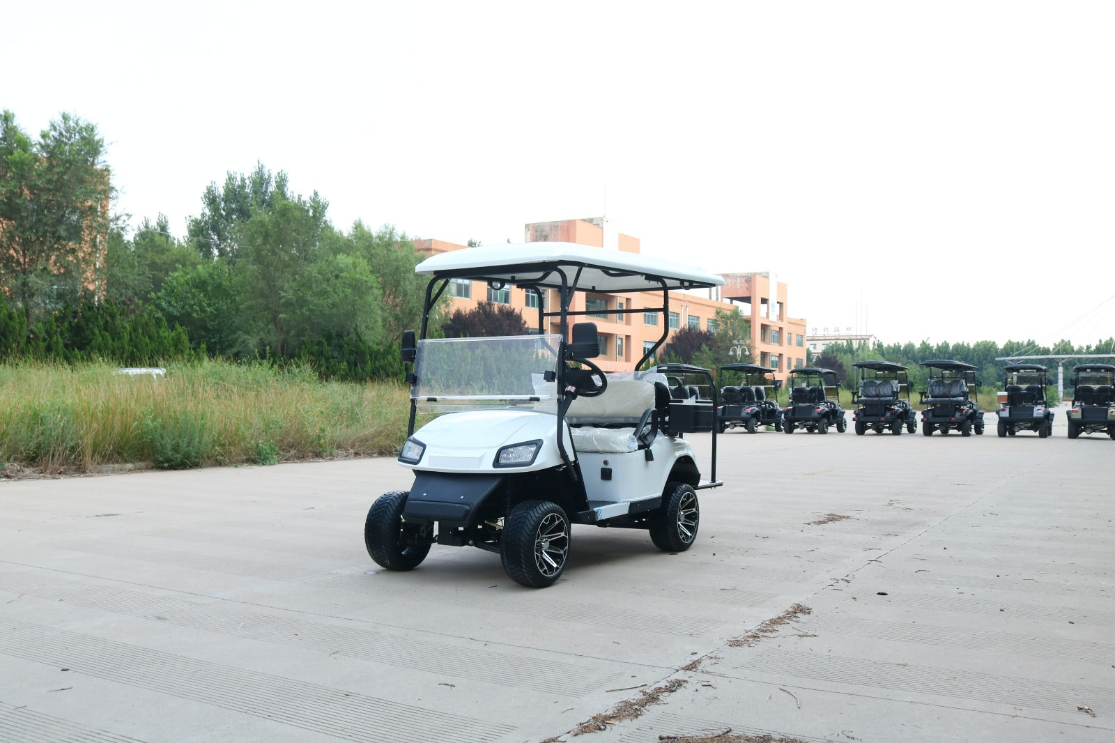 Carro De Golf – Mi tienda